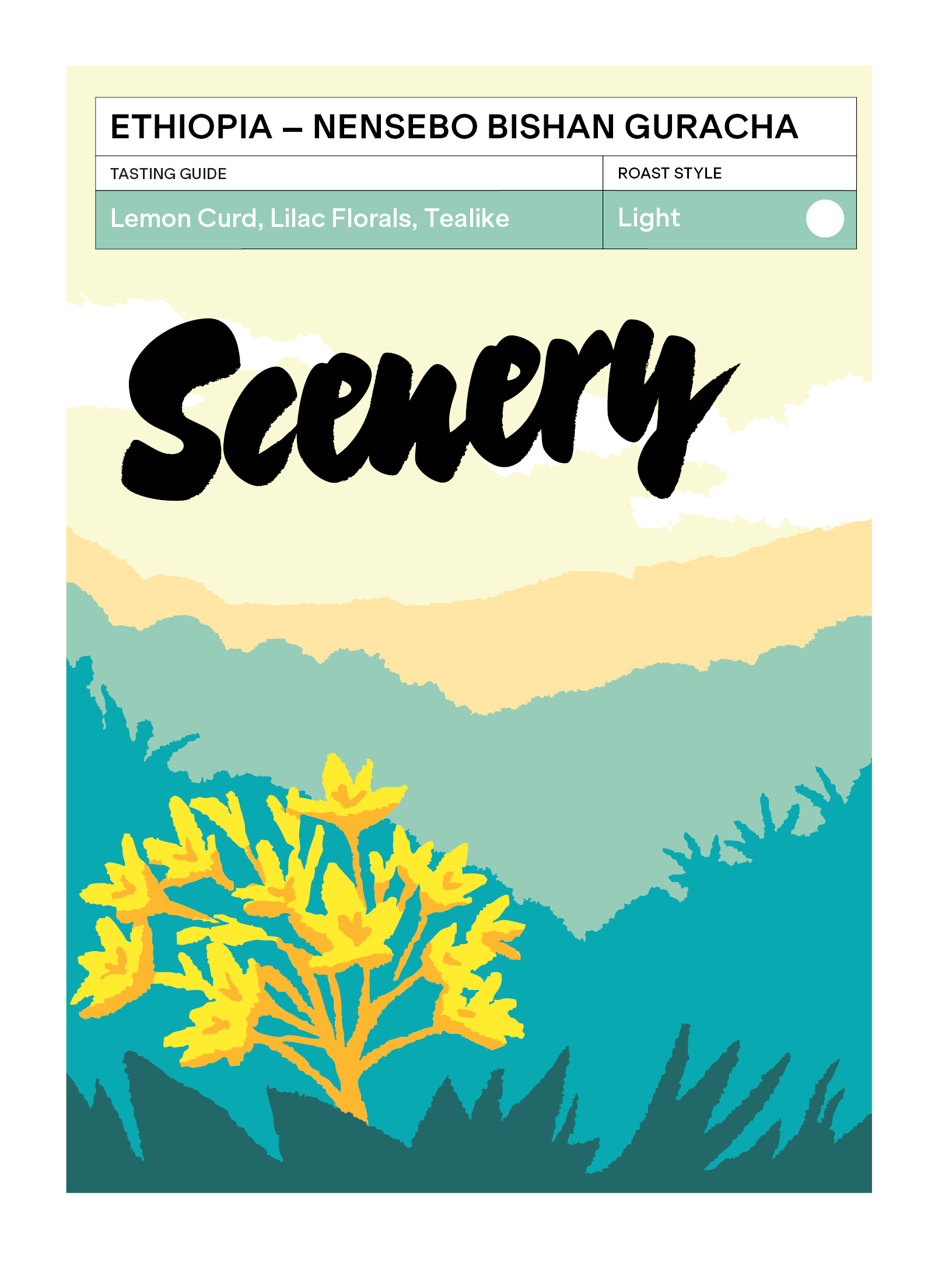 [76] Ethiopia - Nensebo Bishan Guracha [CROP 24/25 ARCHIVE] – Scenery Coffee