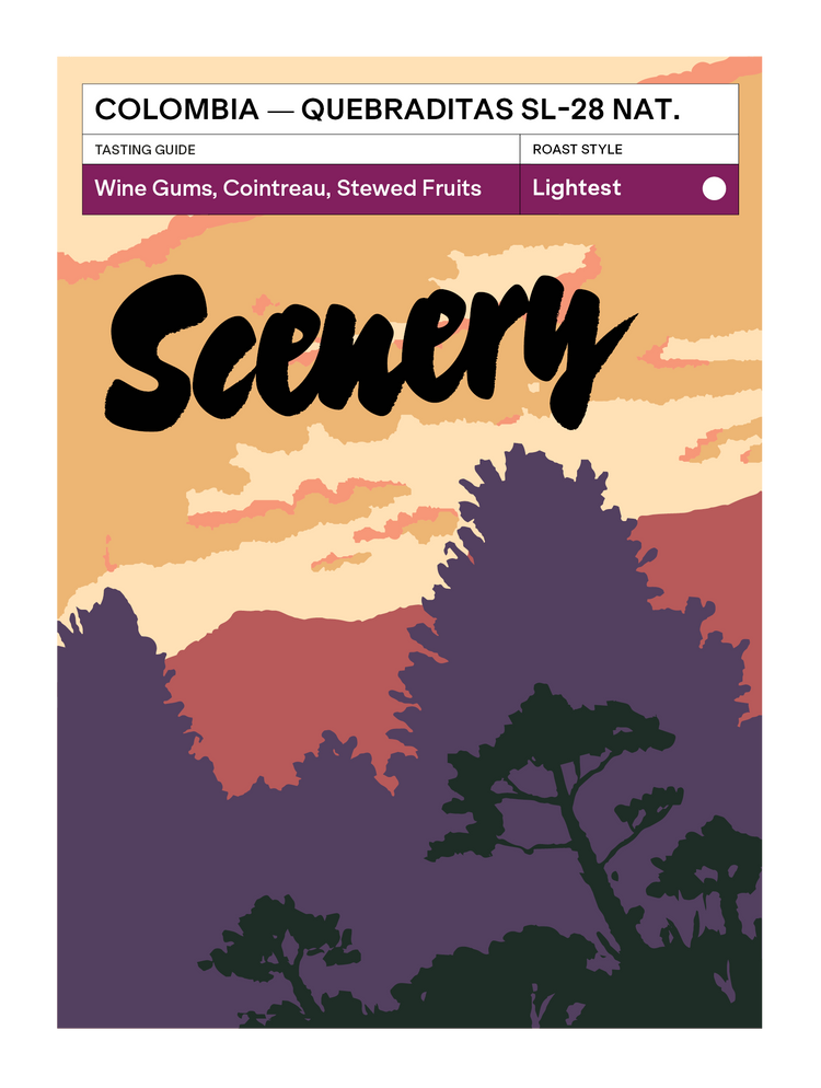 [107] Colombia - Quebraditas SL-28 Advanced Natural [CROP 25/26 ARCHIV ...