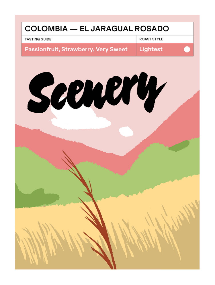[106] Colombia - El Jaragual Rosado [CROP 25/26 ARCHIVE] – Scenery Coffee