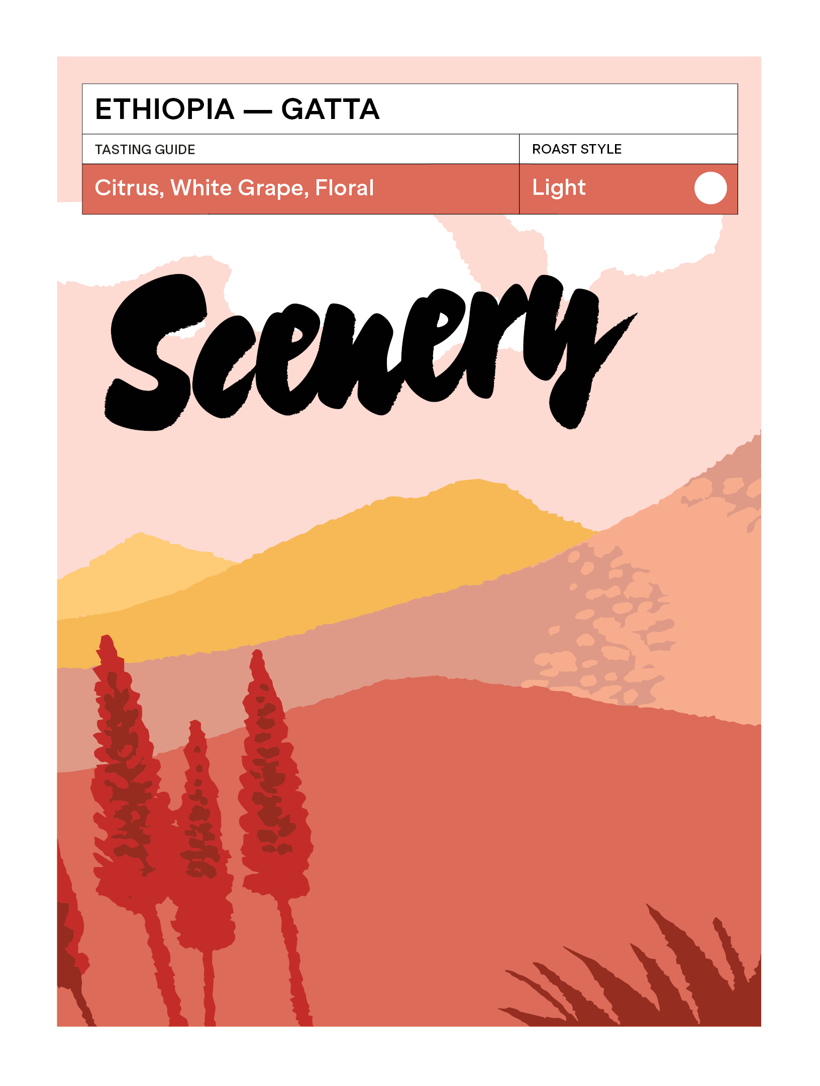 [35] Ethiopia - Gatta Honey [CROP 23/24 ARCHIVE] – Scenery Coffee