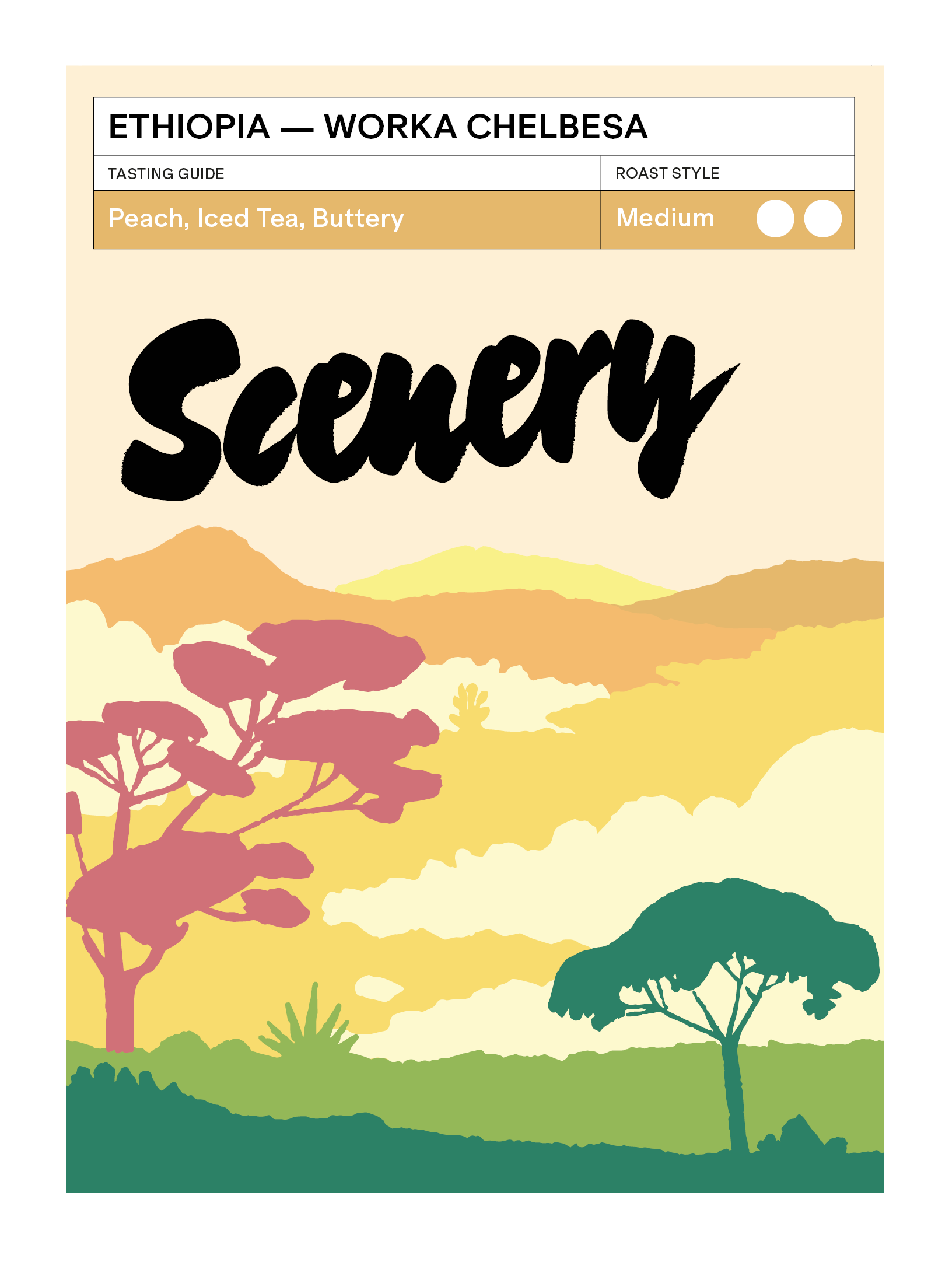 [30] Ethiopia - Worka Chelbesa G1 [CROP 23/24 ARCHIVE] – Scenery Coffee