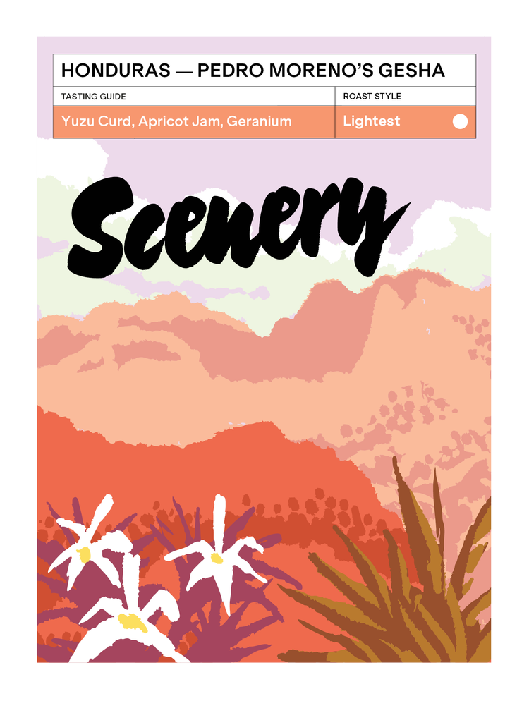 Scenery Coffee Roasters