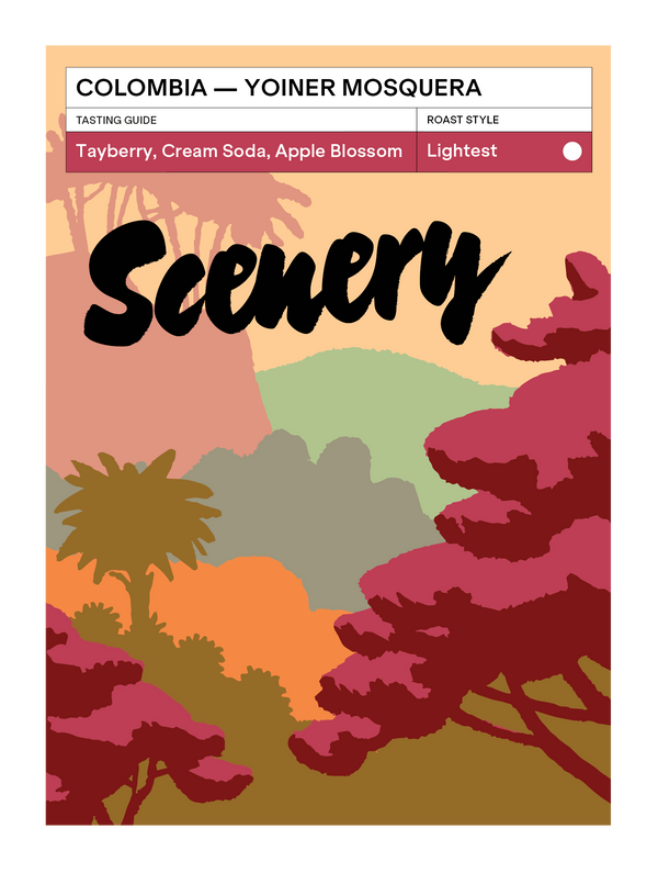 Colombia - Yoiner Mosquera's Rosado – Scenery Coffee